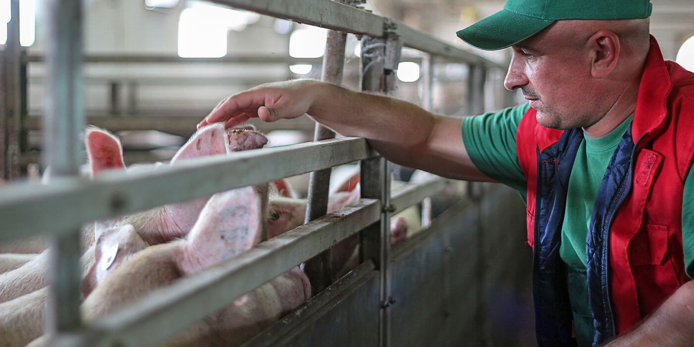 Veterinarian-Client-Patient Relationship (VCPR) in Ontario - Farmed ...