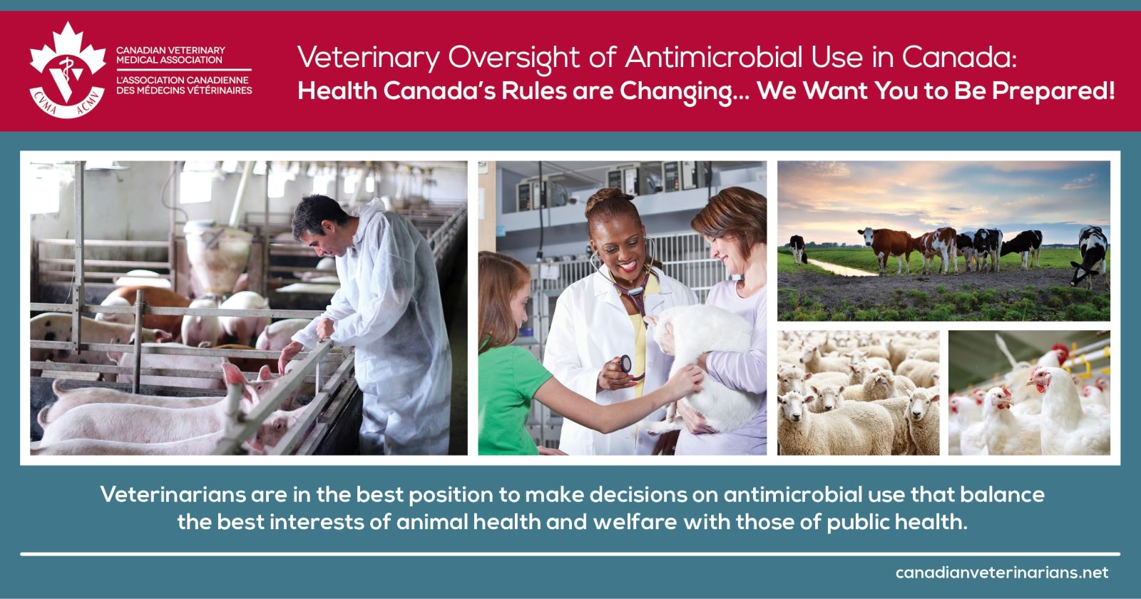 New online platform supports you in overseeing responsible use of ...