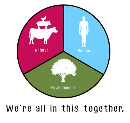 Antimicrobial Stewardship for a Sustainable Tomorrow - Farmed Animal ...