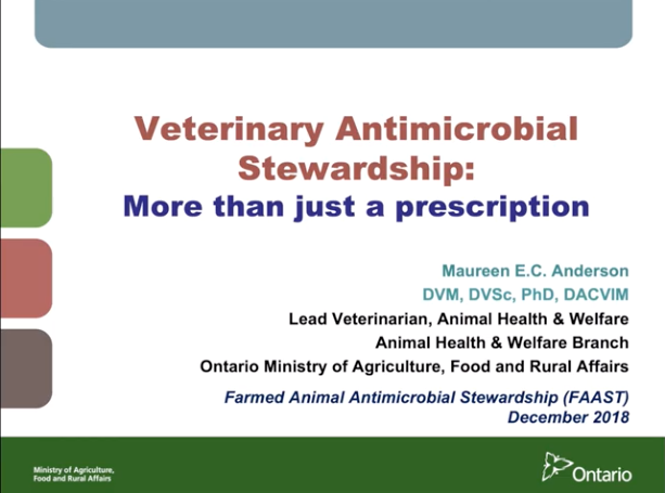 Veterinary Antimicrobial Stewardship: More than just a prescription ...