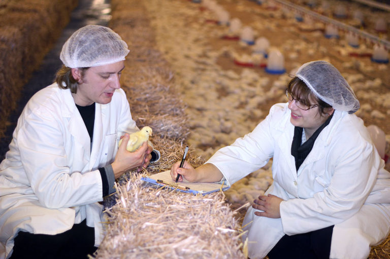 Monitoring and Recording - Farmed Animal Antimicrobial Stewardship ...