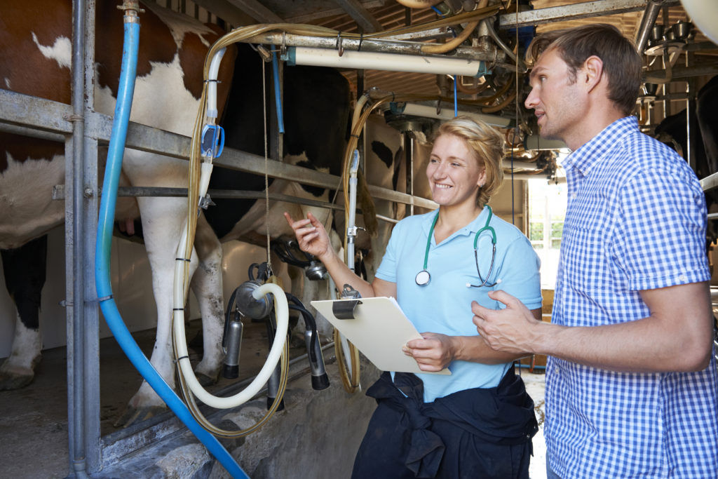 Aseptic Milk Sample Collection & Culture - Farmed Animal Antimicrobial ...