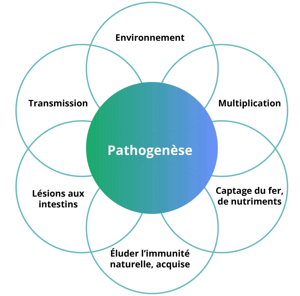 Facteurs liés aux agents pathogènes - Farmed Animal Antimicrobial Stewardship Initiative Blog ...